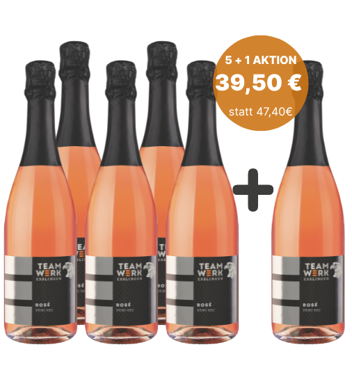 Wein.Shop - Teamwerk Esslingen